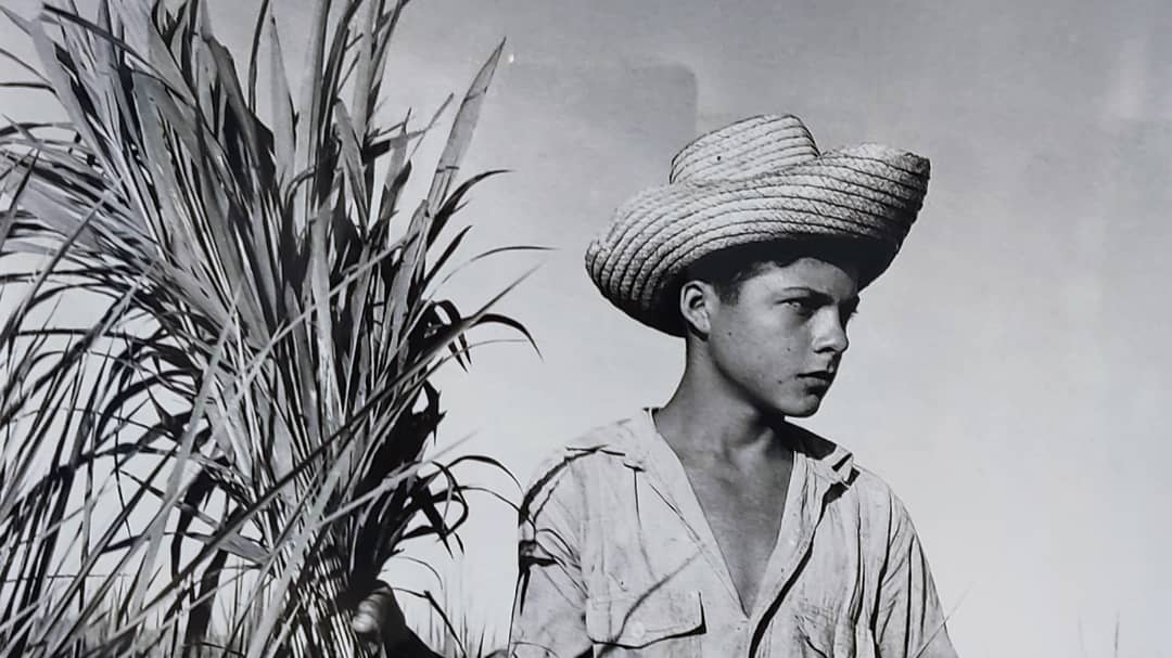 Ernesto Fernández, más allá de la épica, nueva exposición en la ...